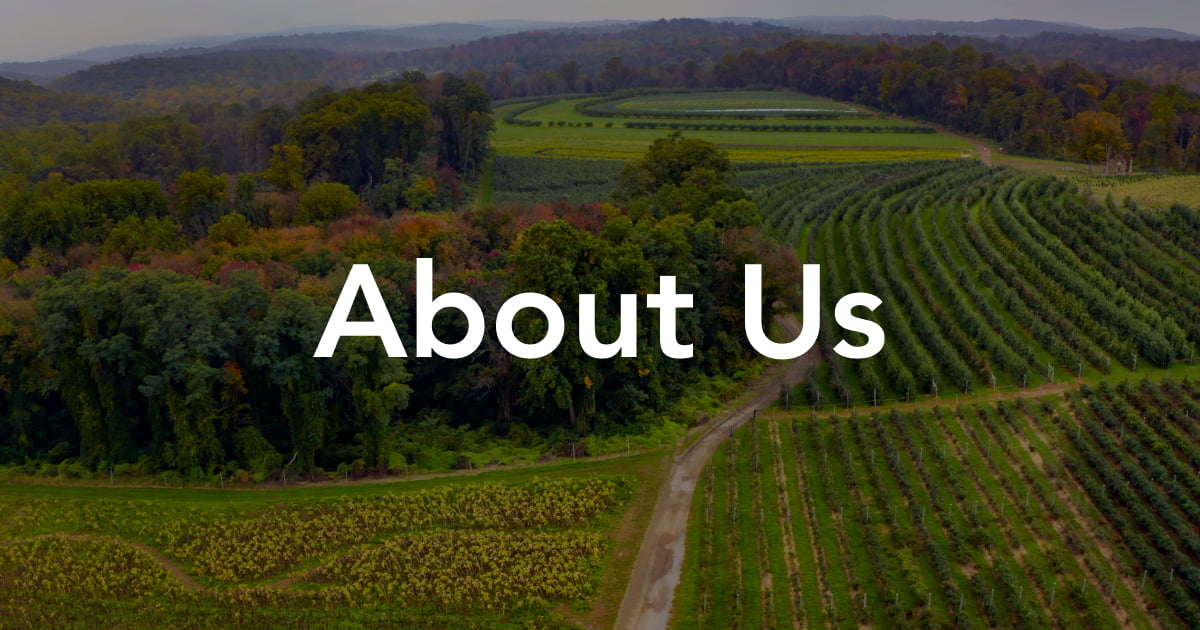 About Us - Simple Slices